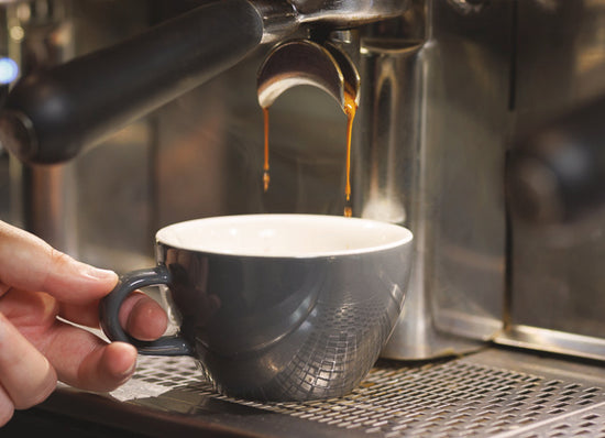 Wholesale Enquiry – Hummingbird Coffee