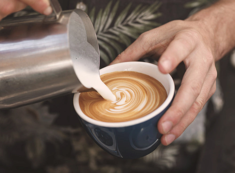 Wholesale Enquiry – Hummingbird Coffee